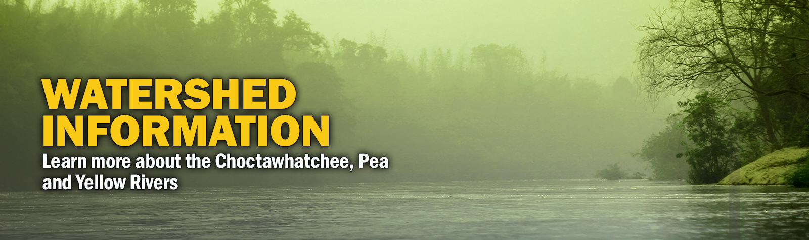 Choctawhatchee, Pea and Yellow Rivers Water Management Authority